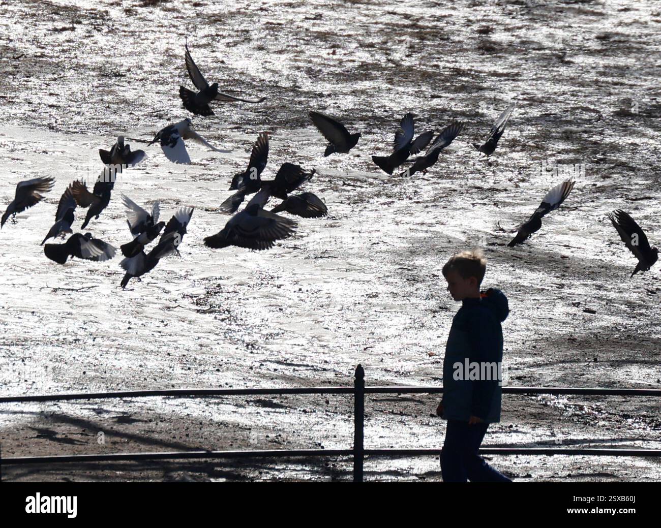 New York, United States. 23rd Feb, 2025. A child walks past melting ...