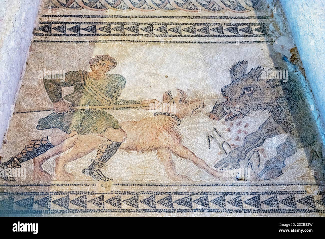Roman mosaic depicting a man and dog hunting a wild boar in the Villa ...