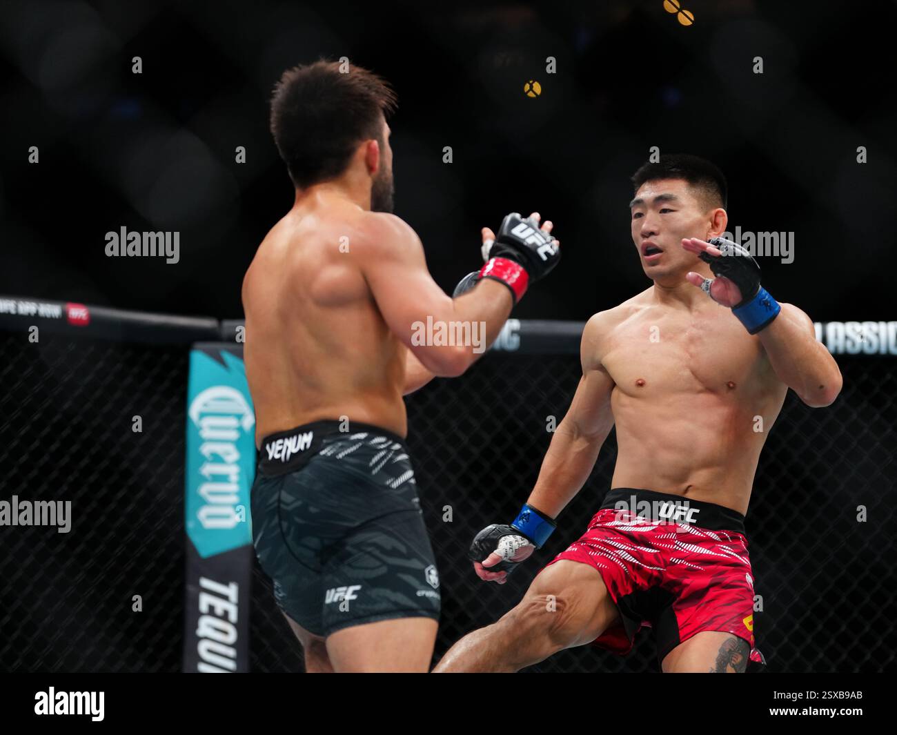 SEATTLE, WA - FEBRUARY 22: Henry Cejudo and Song Yadong meet in the ...