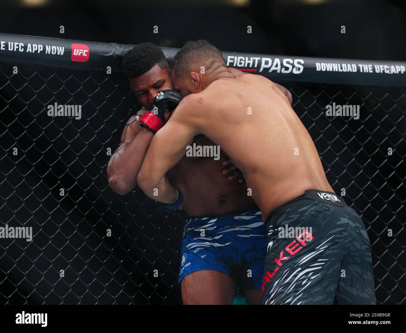 Seattle, Wa, United States. 22nd Feb, 2025. SEATTLE, WA - FEBRUARY 22 ...