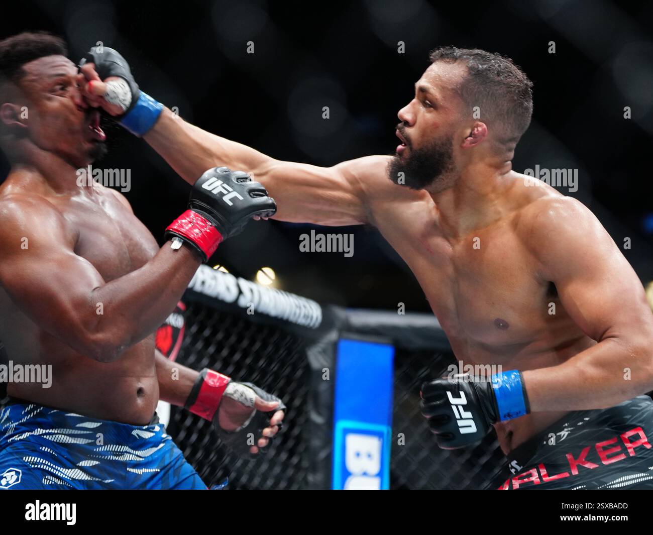 Seattle, Wa, United States. 22nd Feb, 2025. SEATTLE, WA - FEBRUARY 22 ...