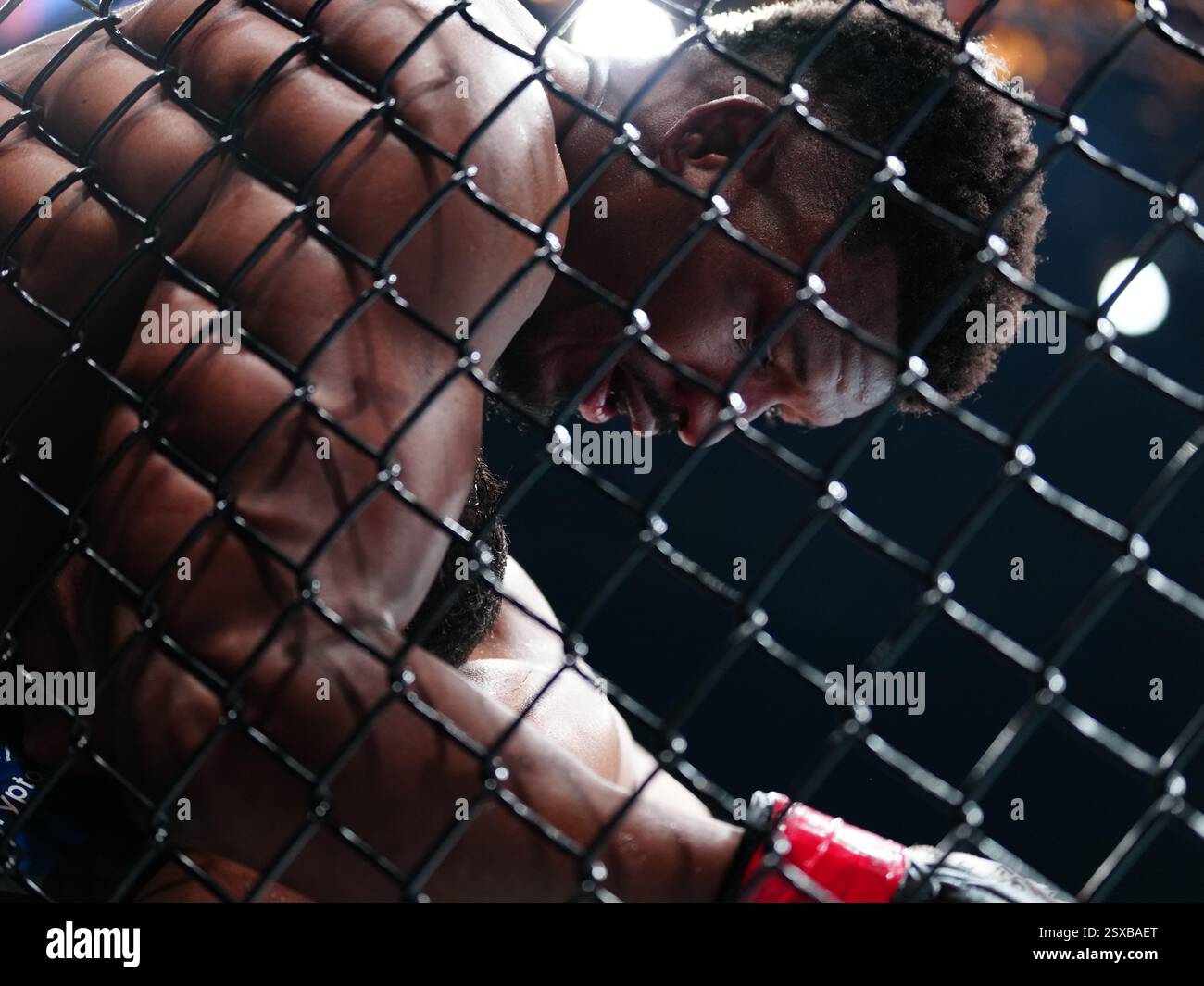 Seattle, Wa, United States. 22nd Feb, 2025. SEATTLE, WA - FEBRUARY 22 ...