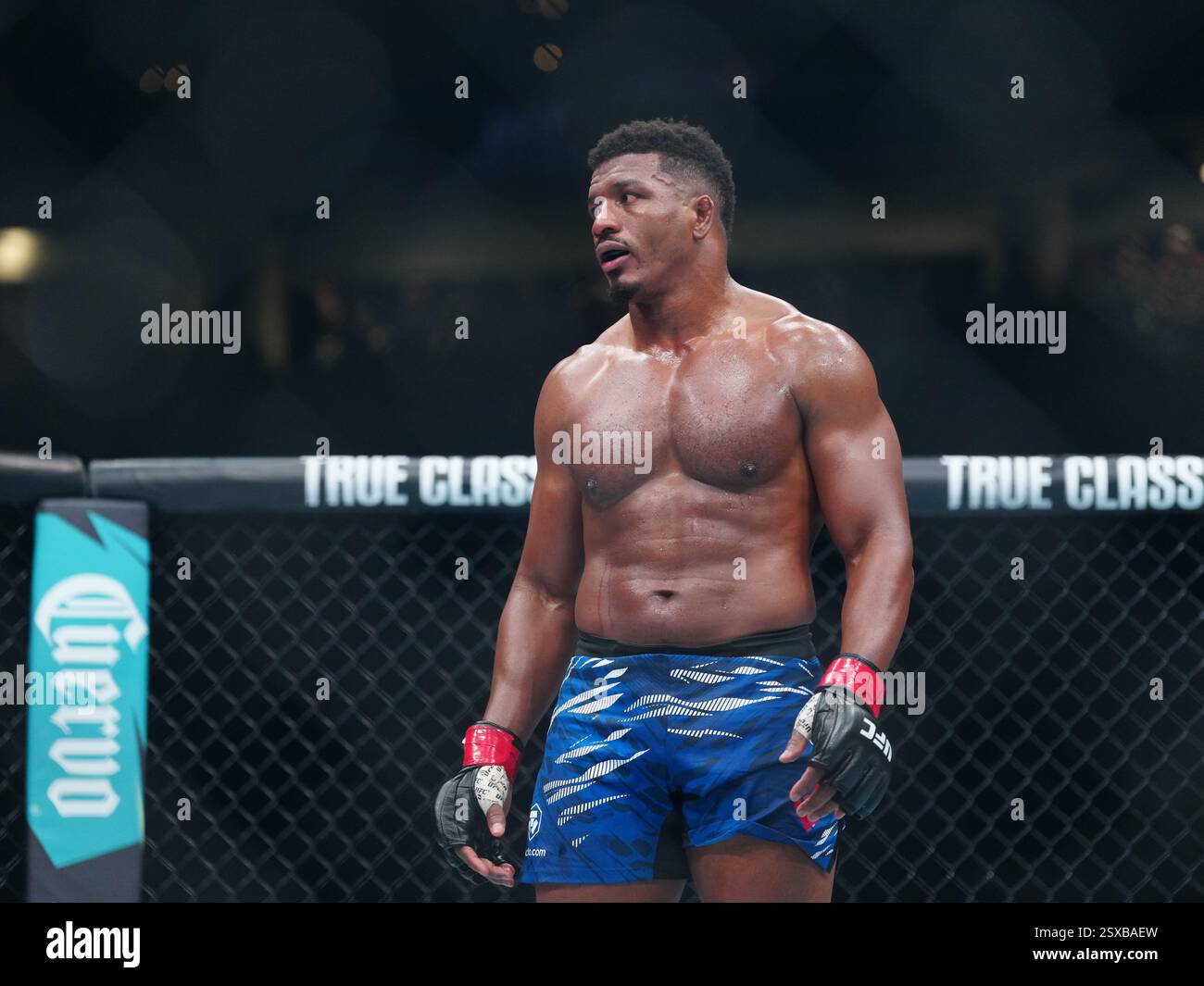 Seattle, Wa, United States. 22nd Feb, 2025. SEATTLE, WA - FEBRUARY 22 ...