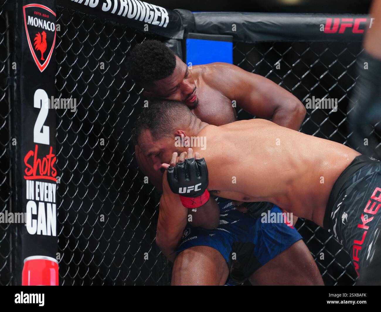 Seattle, Wa, United States. 22nd Feb, 2025. SEATTLE, WA - FEBRUARY 22 ...