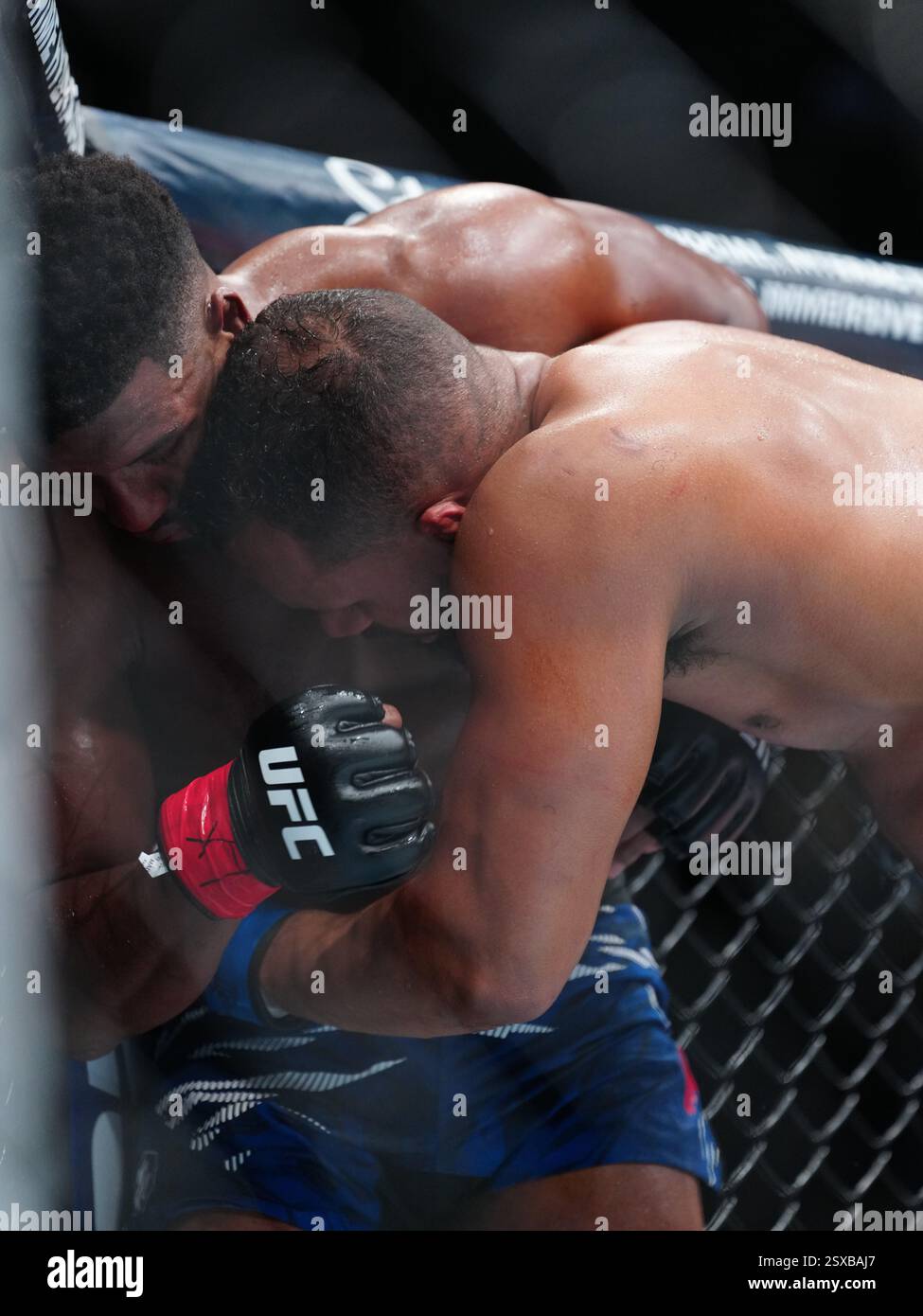 SEATTLE, WA - FEBRUARY 22: Alonzo Menifield and Julius Walker meet in ...