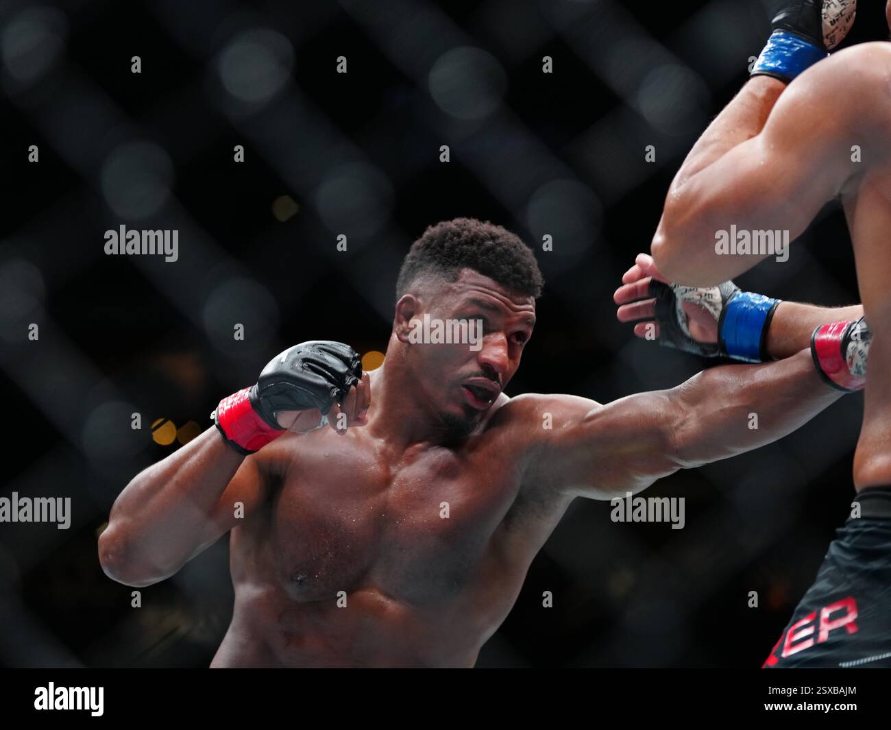 Seattle, Wa, United States. 22nd Feb, 2025. SEATTLE, WA - FEBRUARY 22 ...