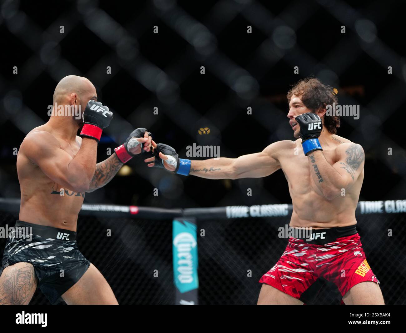 Seattle, Wa, United States. 22nd Feb, 2025. SEATTLE, WA - FEBRUARY 22 ...