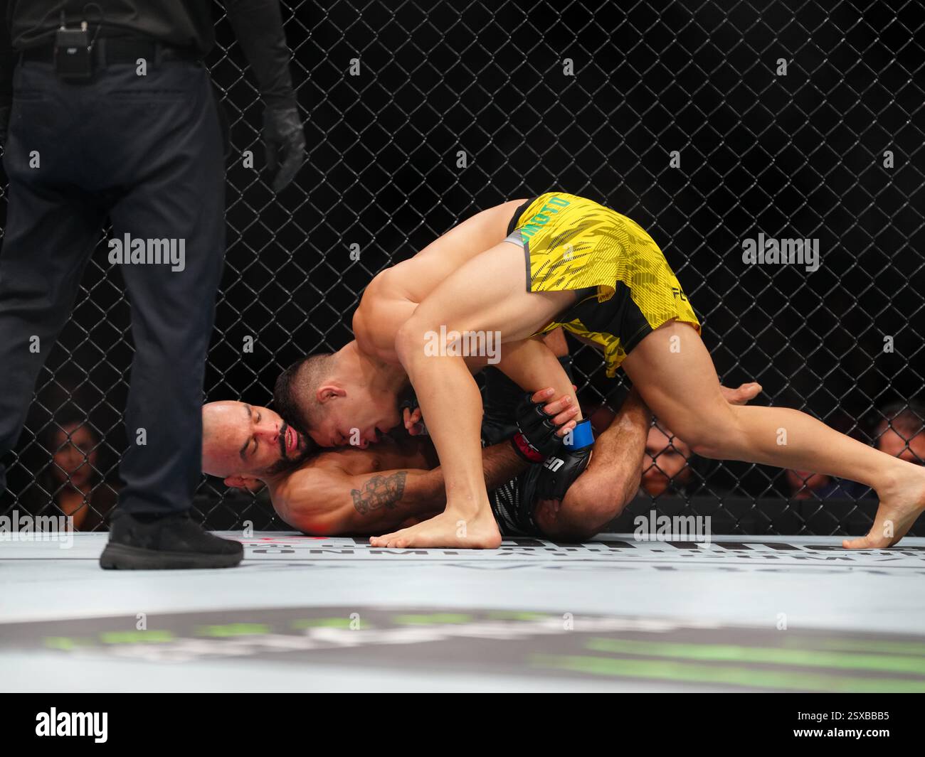 Seattle, Wa, United States. 22nd Feb, 2025. SEATTLE, WA - FEBRUARY 22 ...