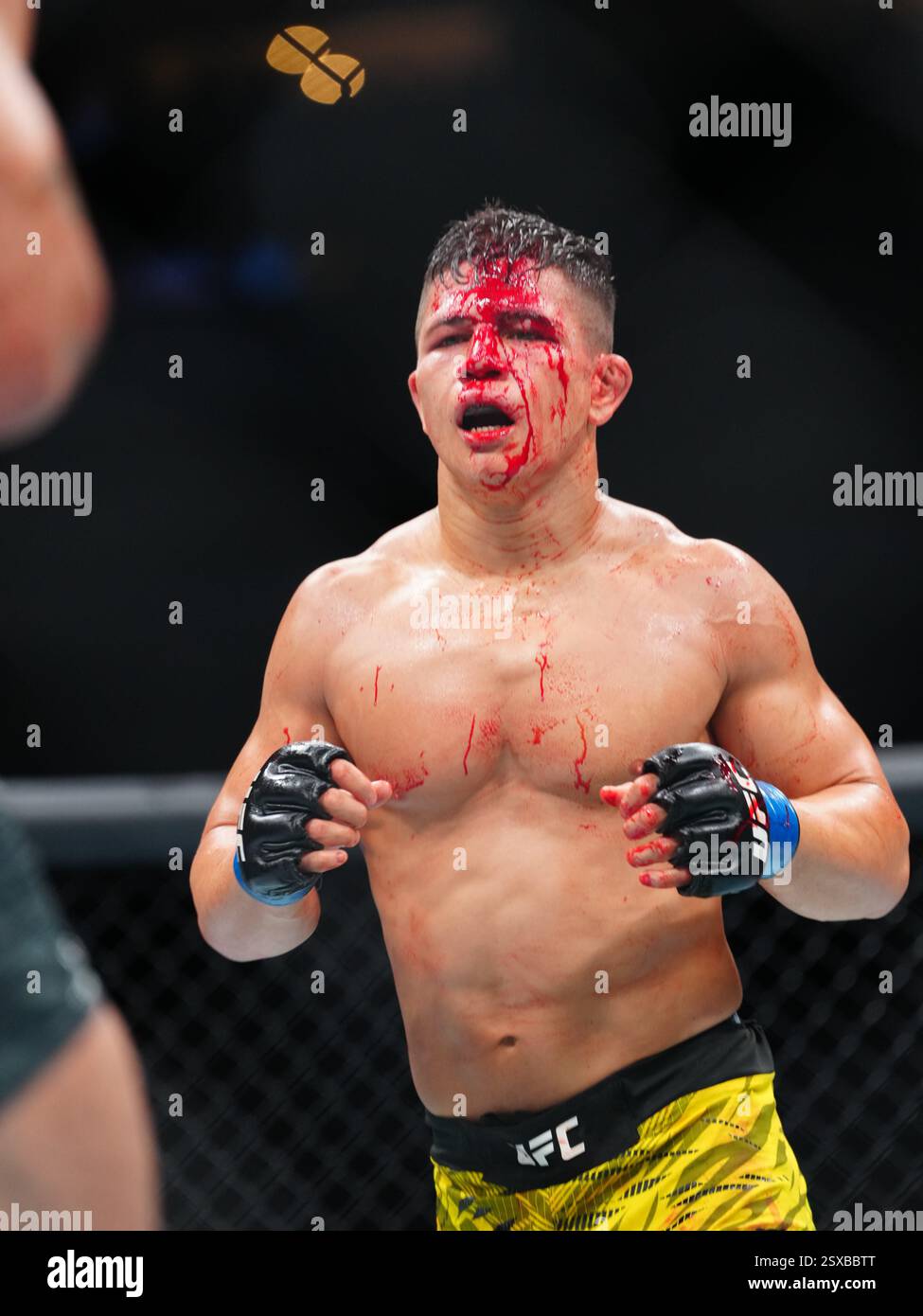 Seattle, Wa, United States. 22nd Feb, 2025. SEATTLE, WA - FEBRUARY 22 ...