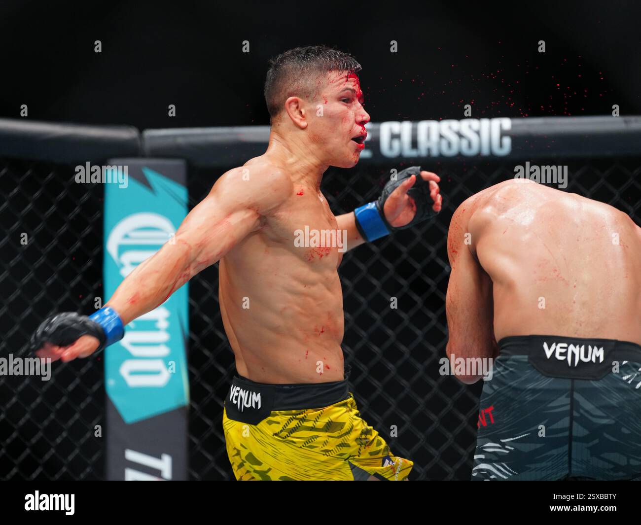 Seattle, Wa, United States. 22nd Feb, 2025. SEATTLE, WA - FEBRUARY 22 ...