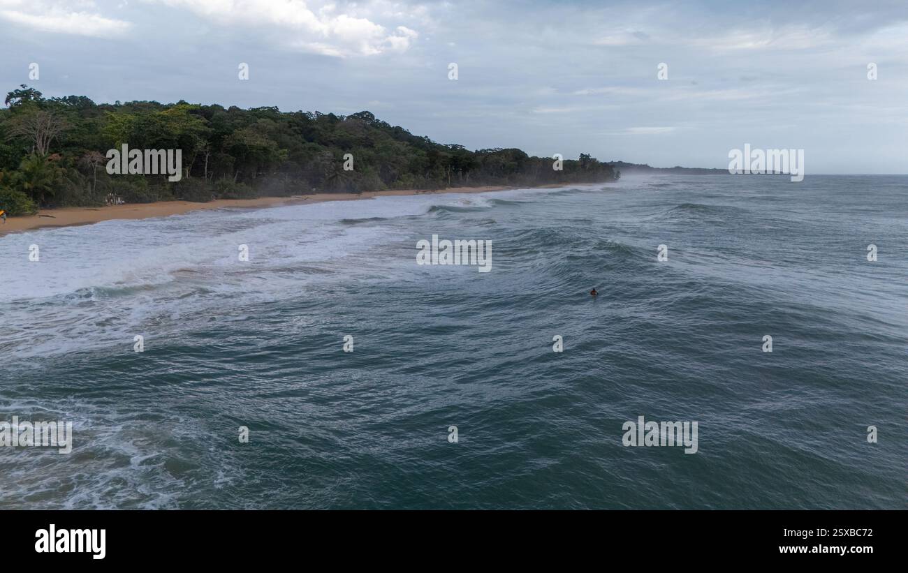 Drone Aerial view at sunrise of some surfers at the beautiful Bluff ...