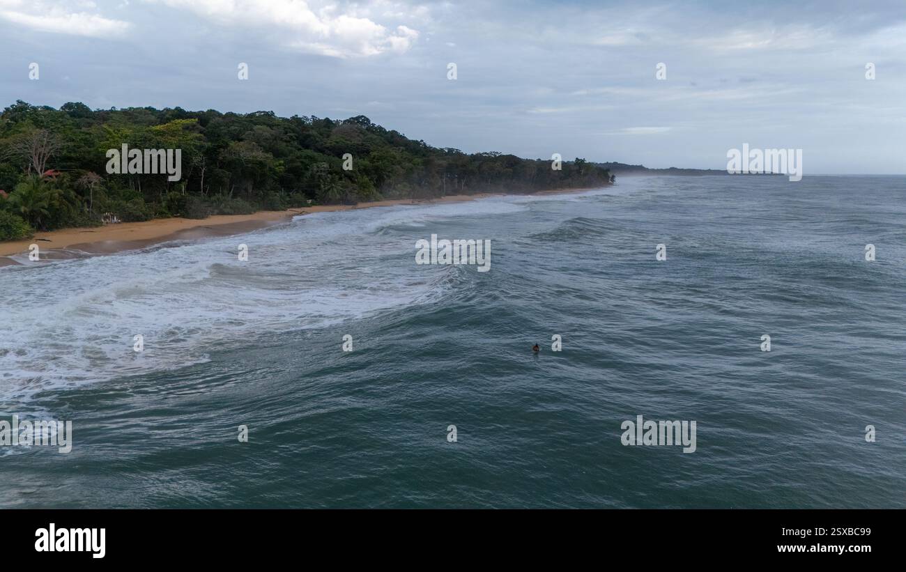Drone Aerial view at sunrise of some surfers at the beautiful Bluff ...