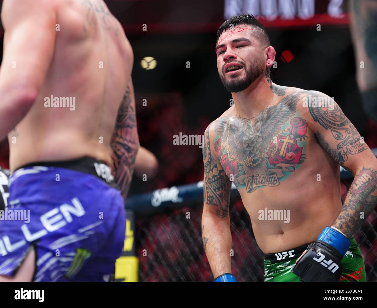 Anthony hernandez 2025 ufc hi-res stock photography and images - Alamy