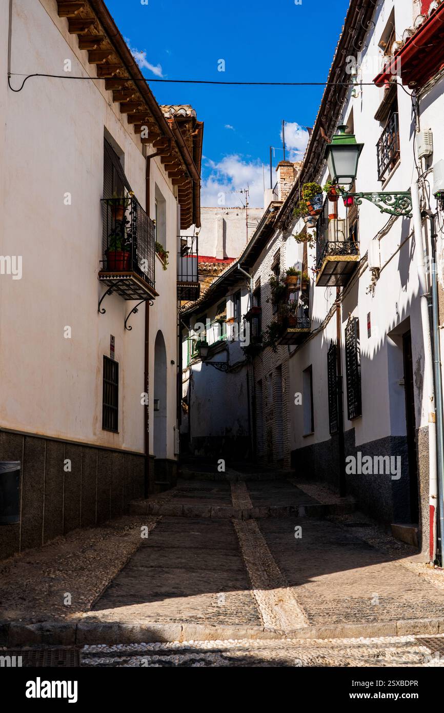 Moorish roots hi-res stock photography and images - Alamy