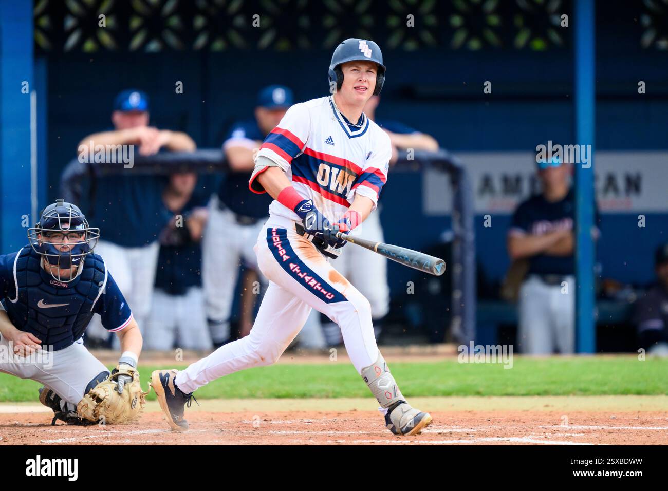 Florida Atlantic outfielder Marshall Lipsey (24) bats during an NCAA ...