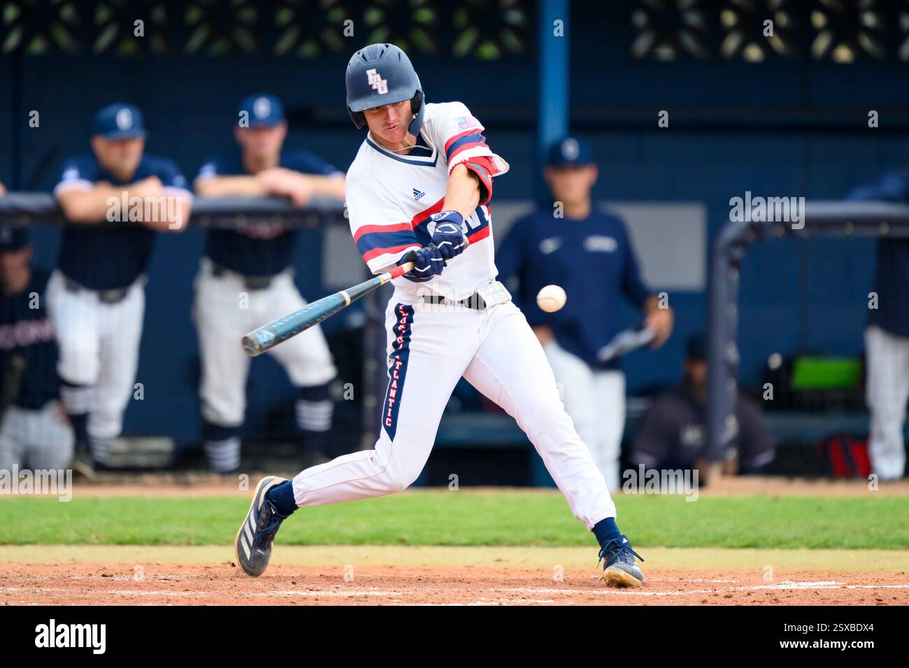 Florida Atlantic catcher John Schroeder (10) bats during an NCAA ...