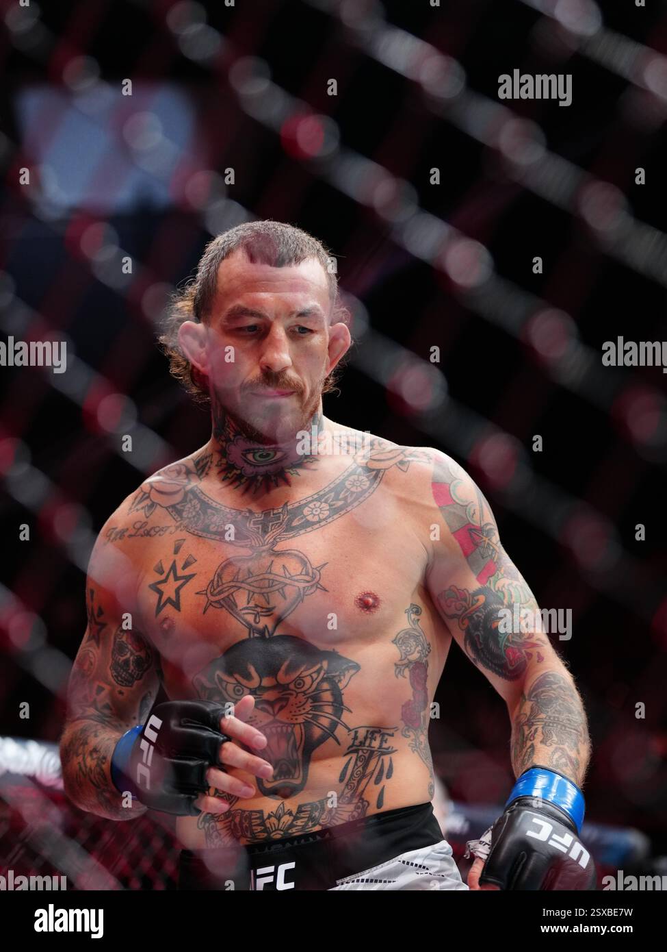 Seattle, Wa, United States. 22nd Feb, 2025. SEATTLE, WA - FEBRUARY 22 ...