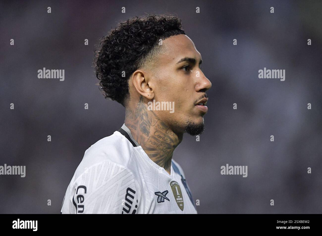 Rio De Janeiro, Brazil. 23rd Feb, 2025. RJ - RIO DE JANEIRO - 02/23 ...