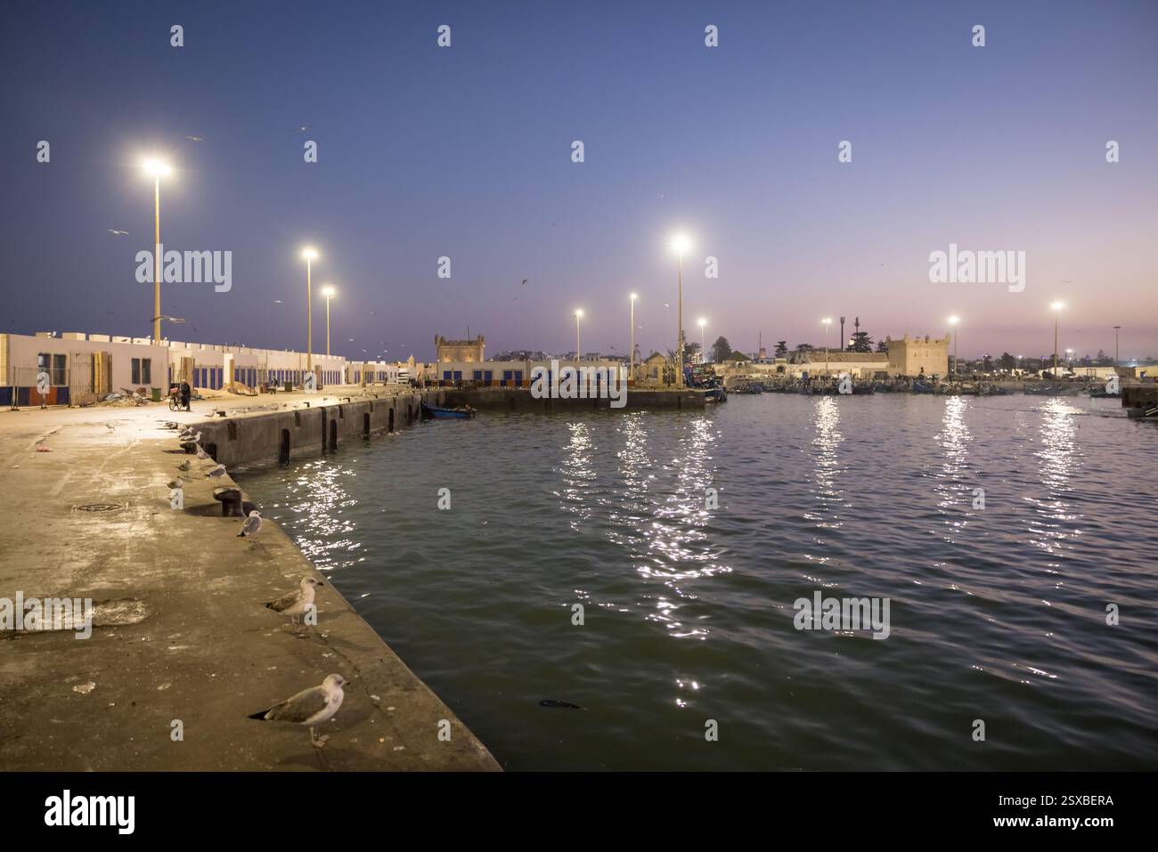 Fisherman port of Essaouira, Morocco, at sunrise Stock Photo - Alamy
