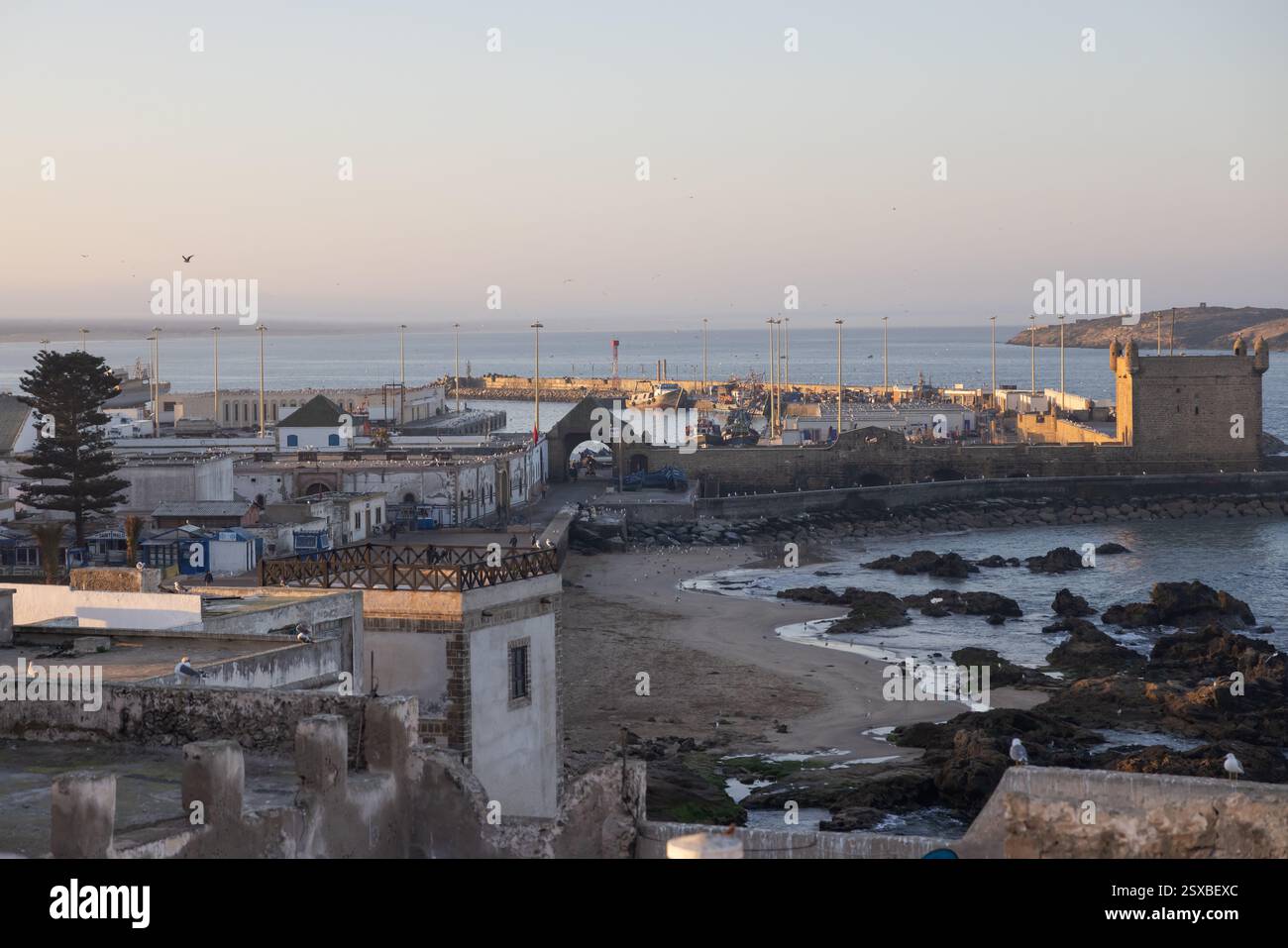 Fisherman port of Essaouira, Morocco, with typical blue boats Stock ...