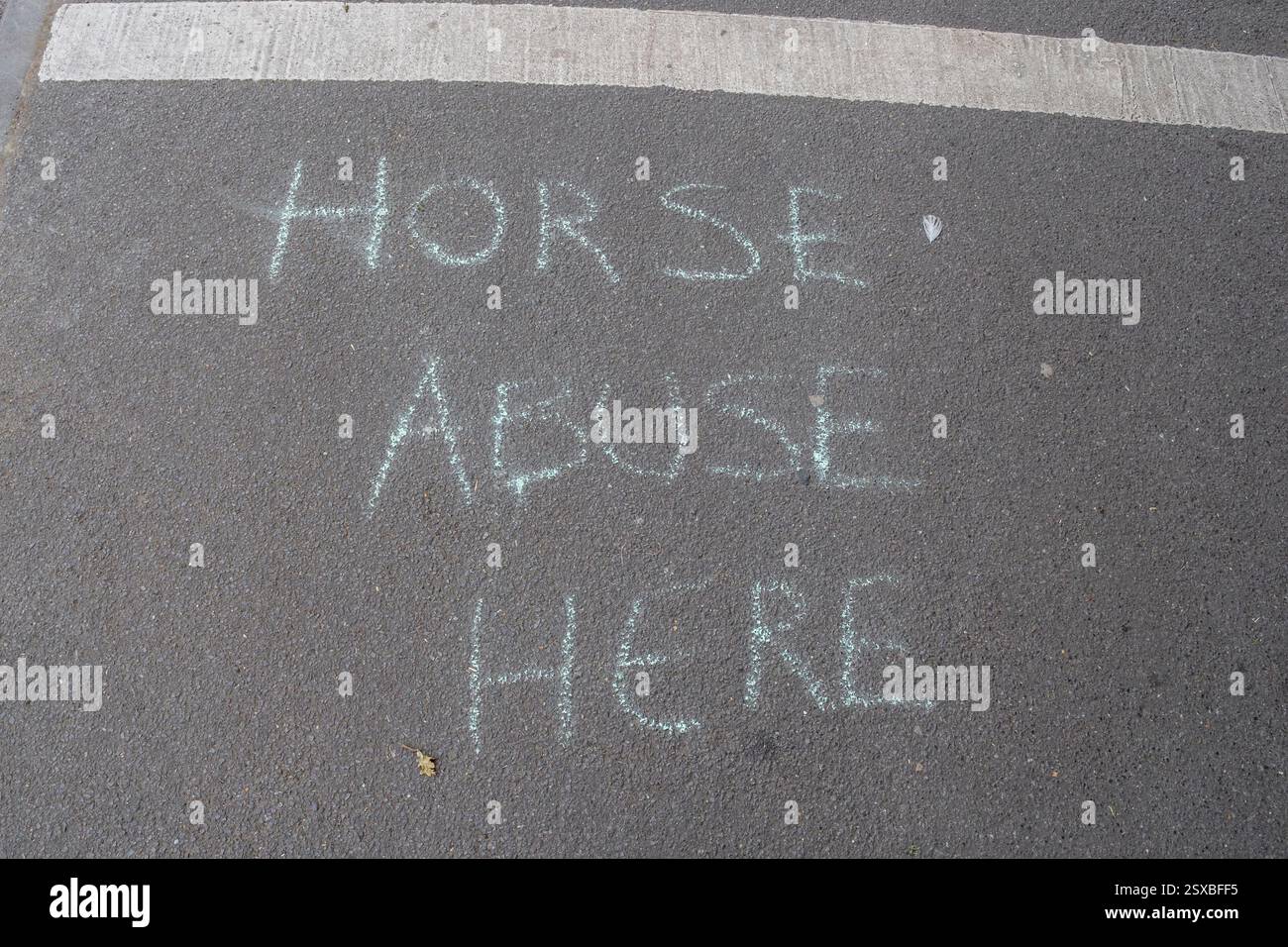 "Horse Abuse Here": Anti-horse racing graffiti on the pavement ouside ...