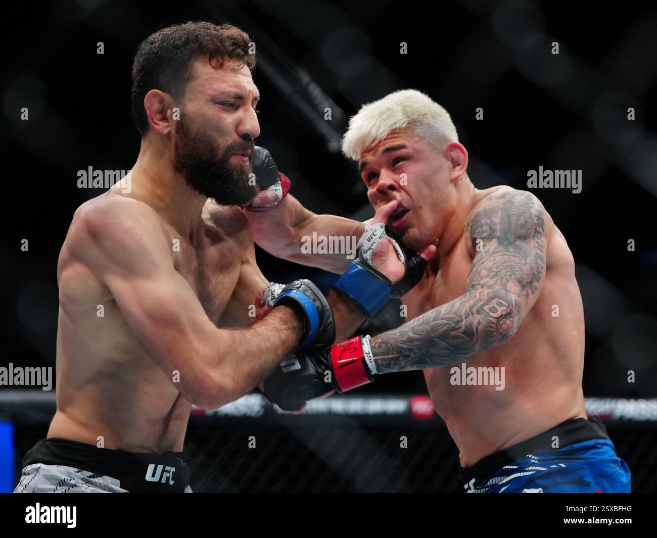 Seattle, Wa, United States. 22nd Feb, 2025. SEATTLE, WA - FEBRUARY 22 ...