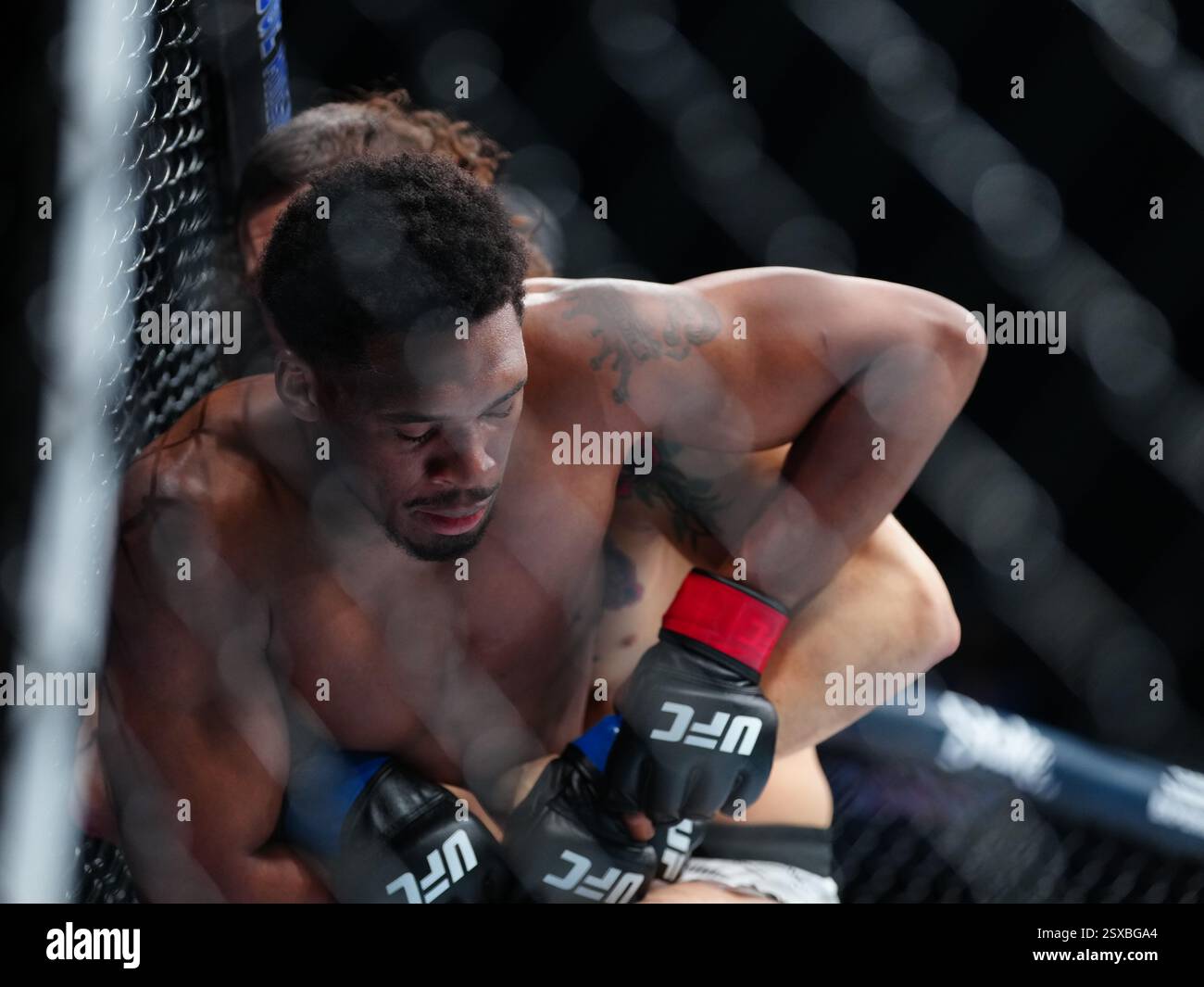 SEATTLE, WA - FEBRUARY 22: Mansur Abdul-Malik and Nick Klein meet in ...