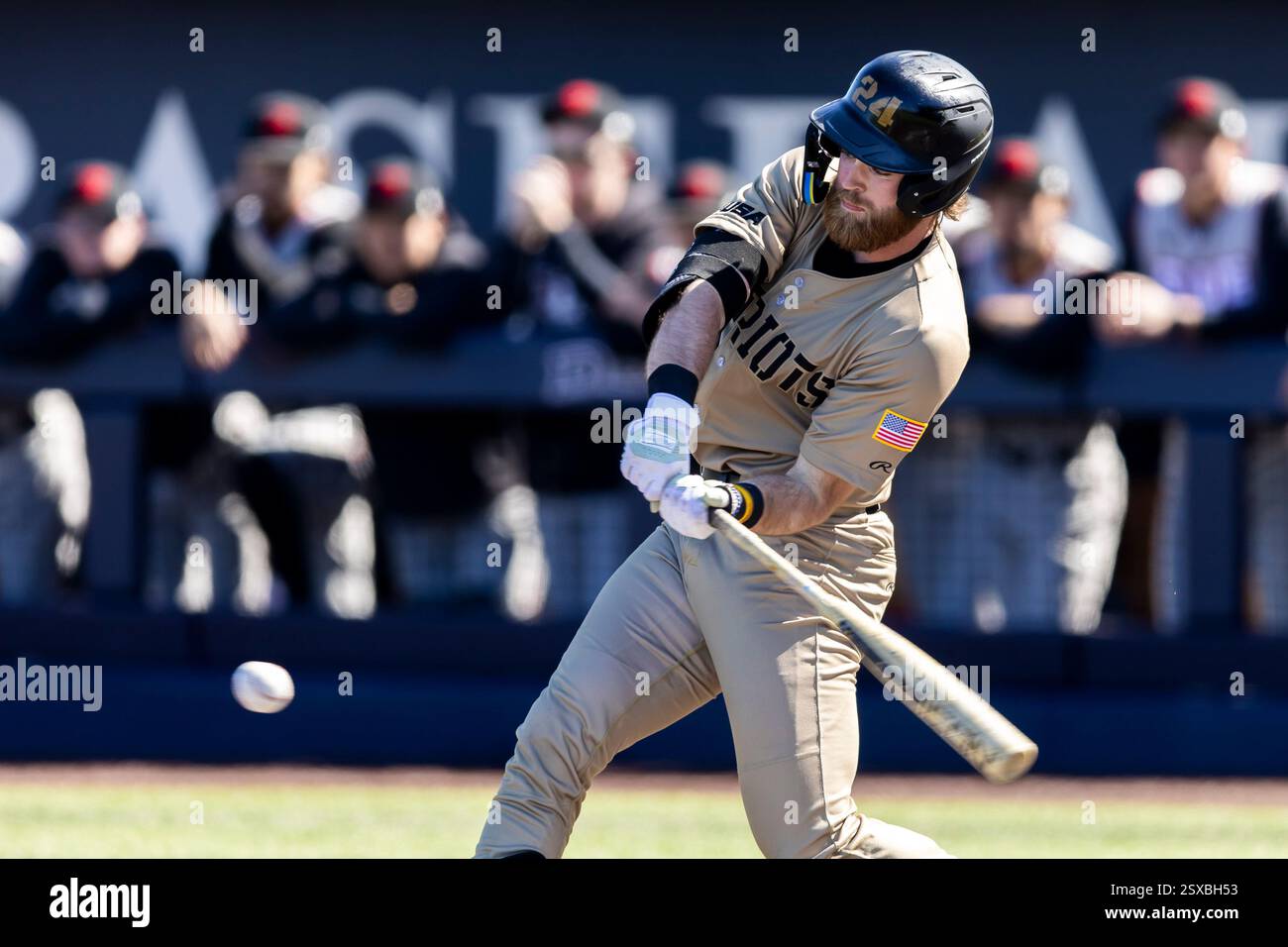 Dallas Baptist's Tom Poole connects for a RBI single during an NCAA ...