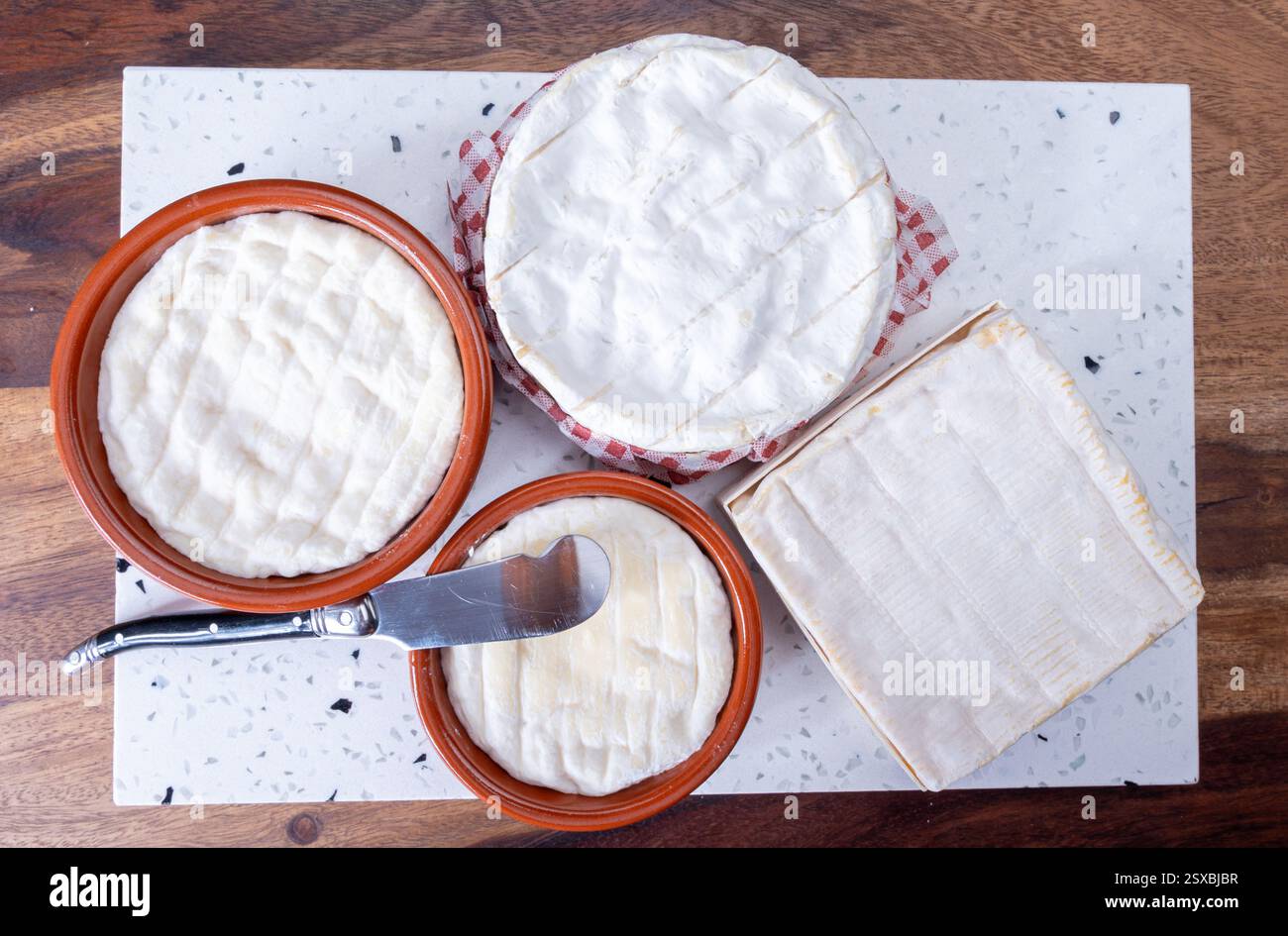 French soft cheeses collection, Saint-Marcellin, creamy Saint- Felicien ...