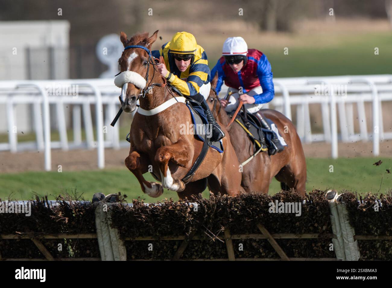 Cahier's Den and Brian Hughes during the Sign Lead Your Horse To Water ...