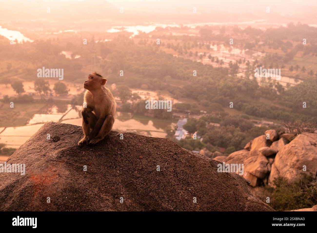A lone monkey sitting on the rocks at the Monkey God Temple high above ...