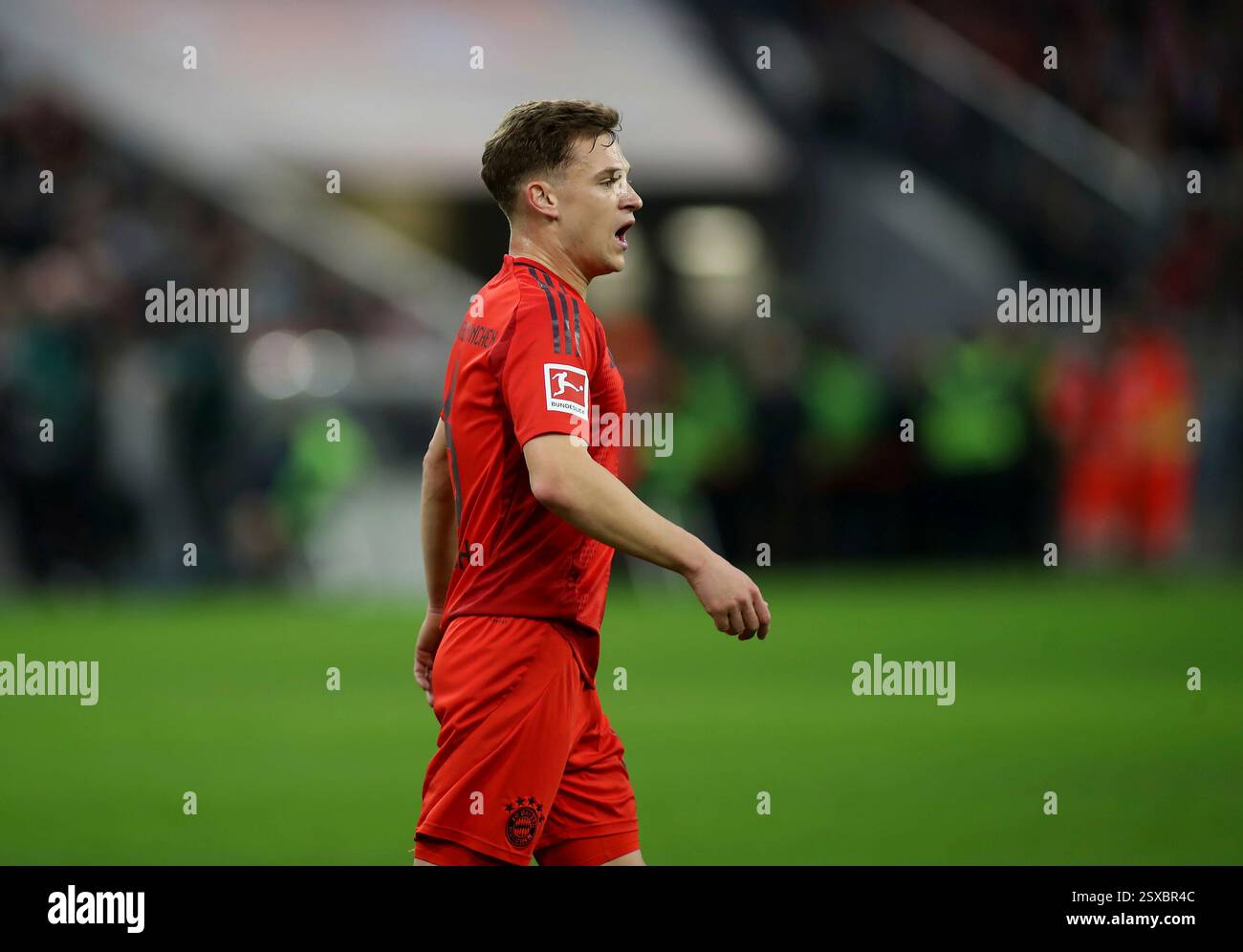 Fussball, Herren, Bundesliga, Saison 2024/2025, FC Bayern München ...