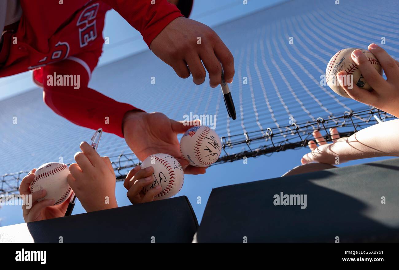 Los Angeles Angels shortstop Zach Neto autographs baseballs before a ...