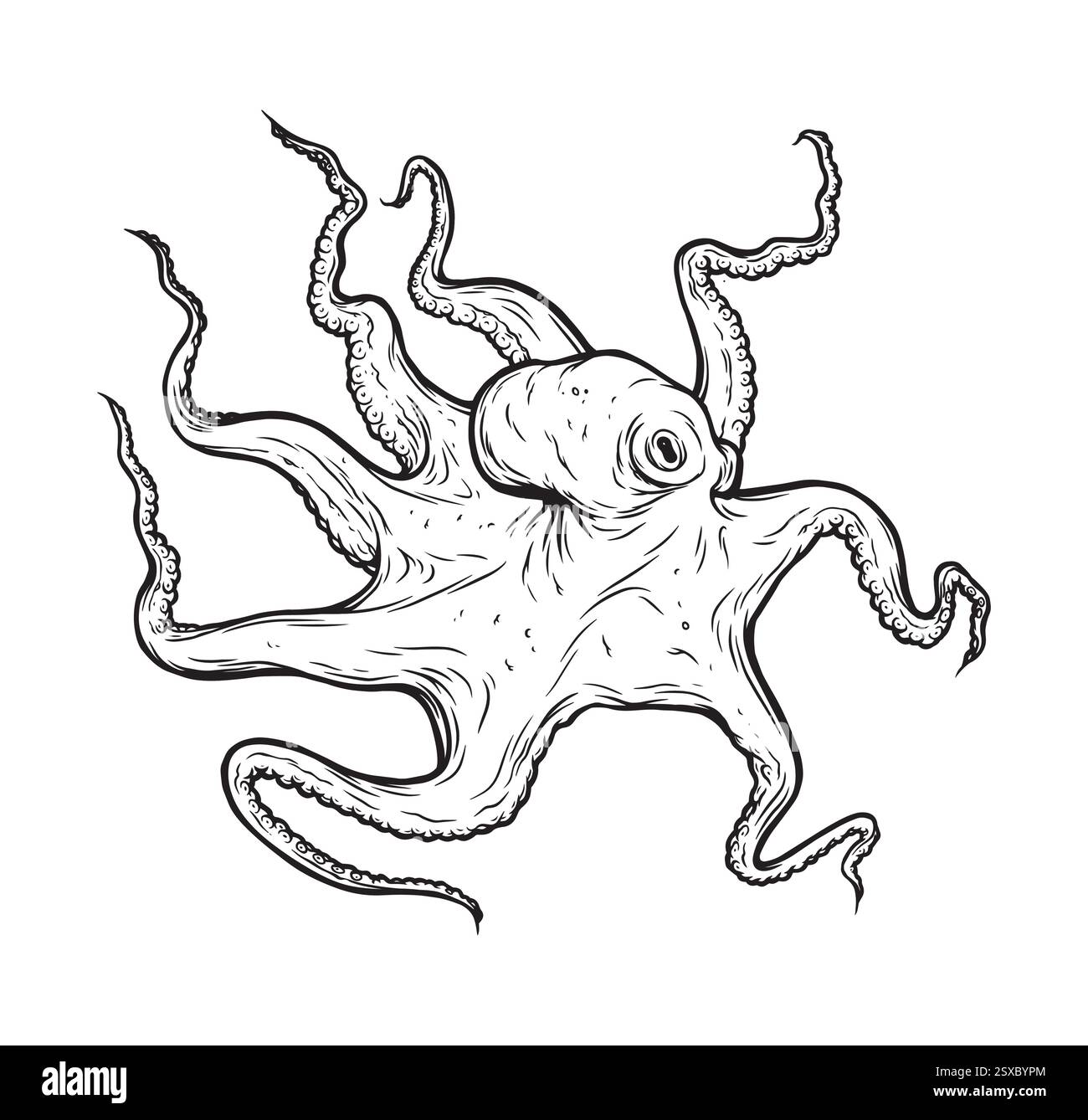 Octopus vector illustration. Octopus tentacles reaching upwards, squid ...
