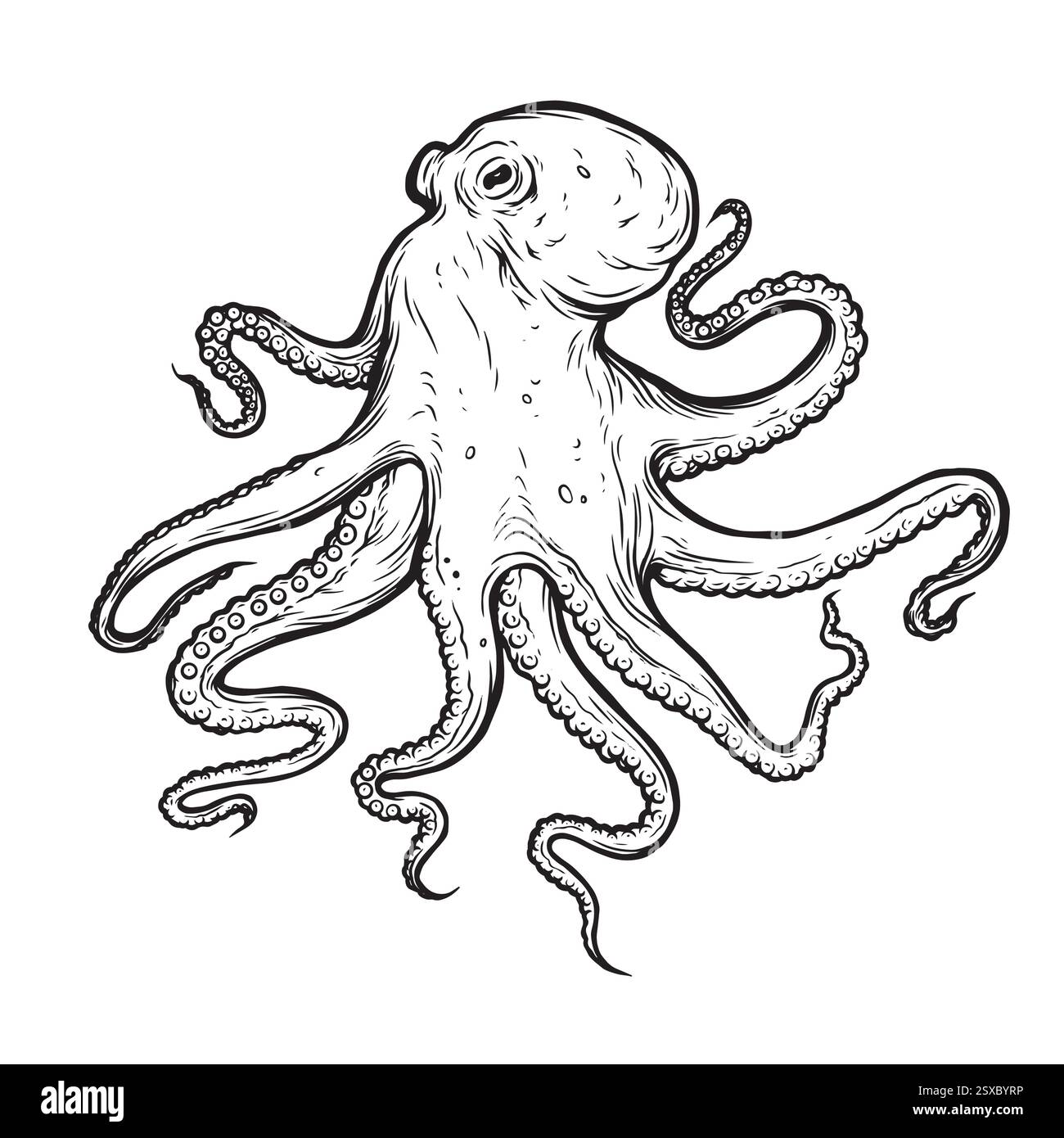 Octopus vector illustration. Octopus tentacles reaching upwards, squid ...