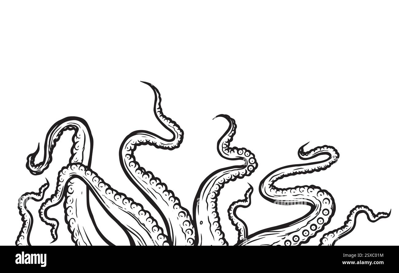 Octopus vector illustration. Octopus tentacles reaching upwards, squid ...