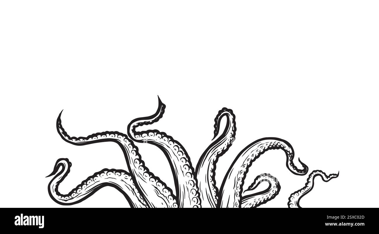 Octopus vector illustration. Octopus tentacles reaching upwards, squid ...
