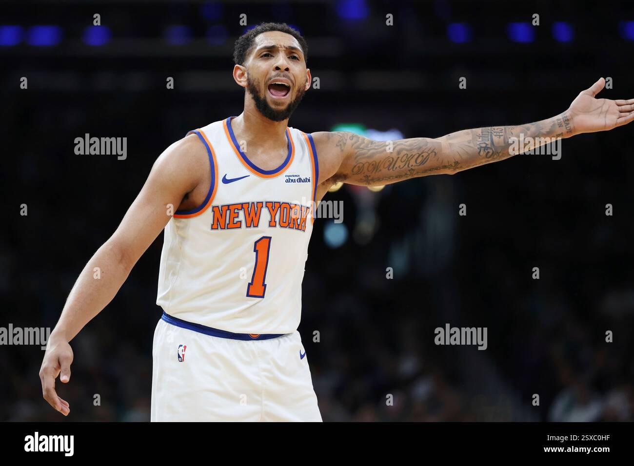 New York Knicks' Cameron Payne during the first half of an NBA ...