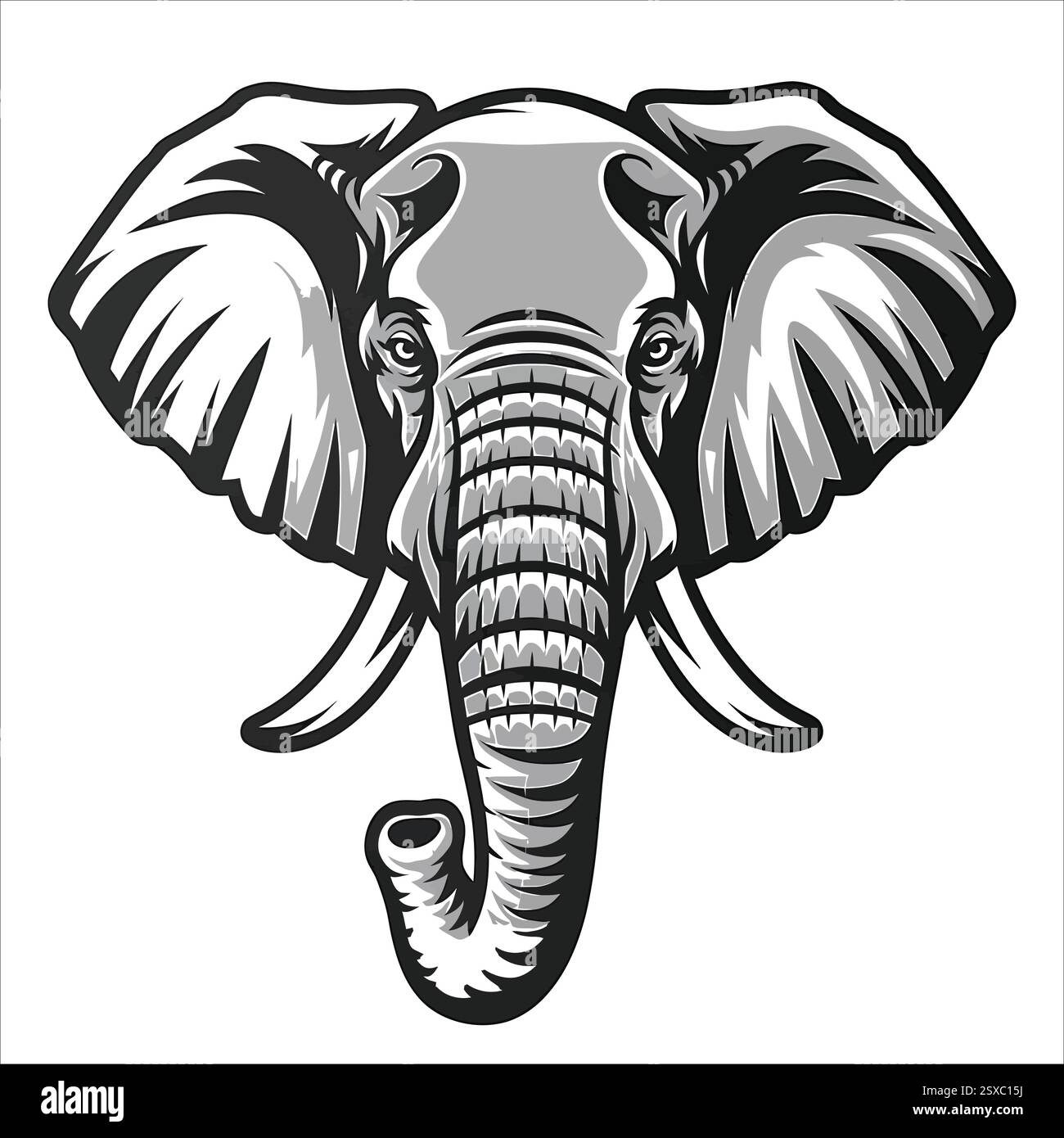 Elephant head vector illustration. Elephant, drawing, trunk, head ...