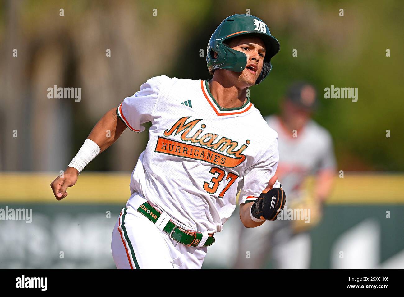 CORAL GABLES, FL - FEBRUARY 23: Miami outfielder Fabio Peralta (37 ...