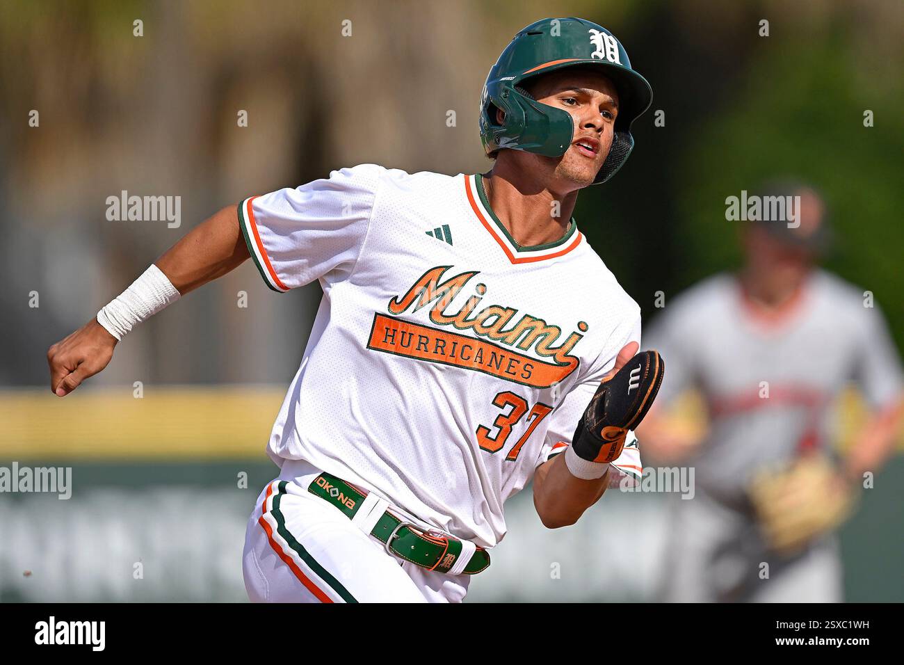 CORAL GABLES, FL - FEBRUARY 23: Miami outfielder Fabio Peralta (37 ...