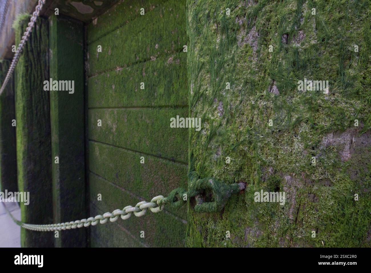 Secured at the dock hi-res stock photography and images - Alamy