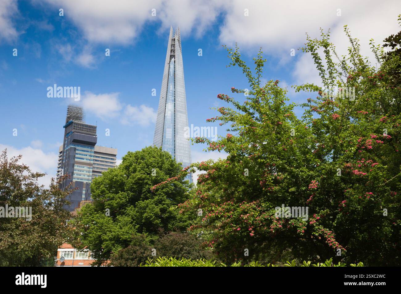 The Shard, London's tallest building, is seen amidst trees in London's ...
