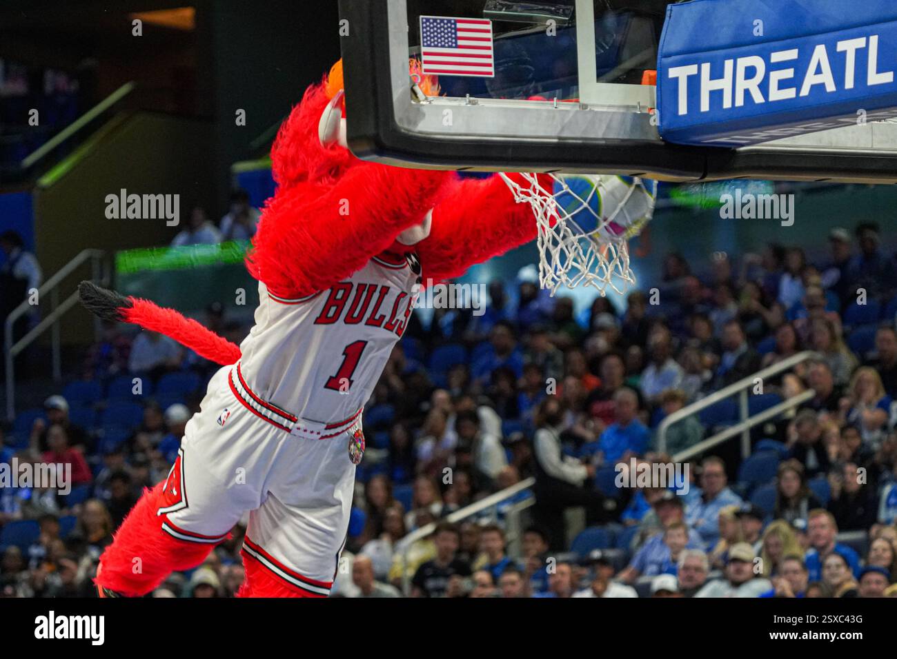 Orlando, Florida, USA, February 23, 2025, The Chicago Bulls Mascot ...