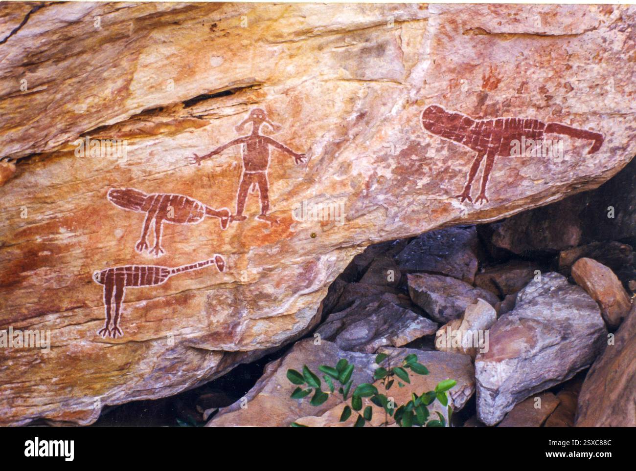 Cave art prehistoric vector hi-res stock photography and images - Alamy