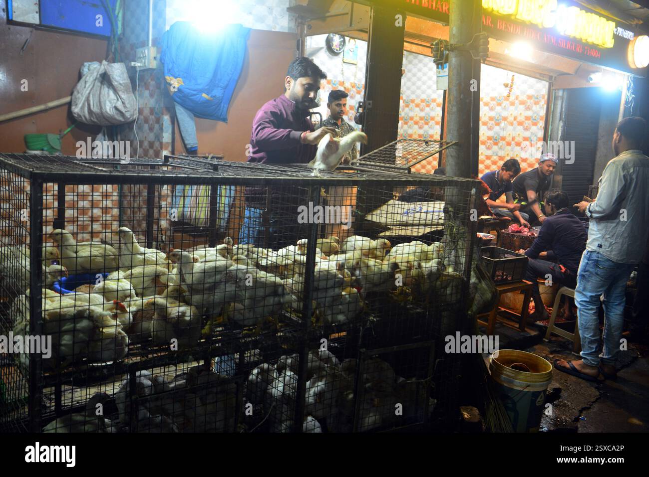 February 24, 2025, Siliguri, West Bengal, India: A chicken shop seller ...