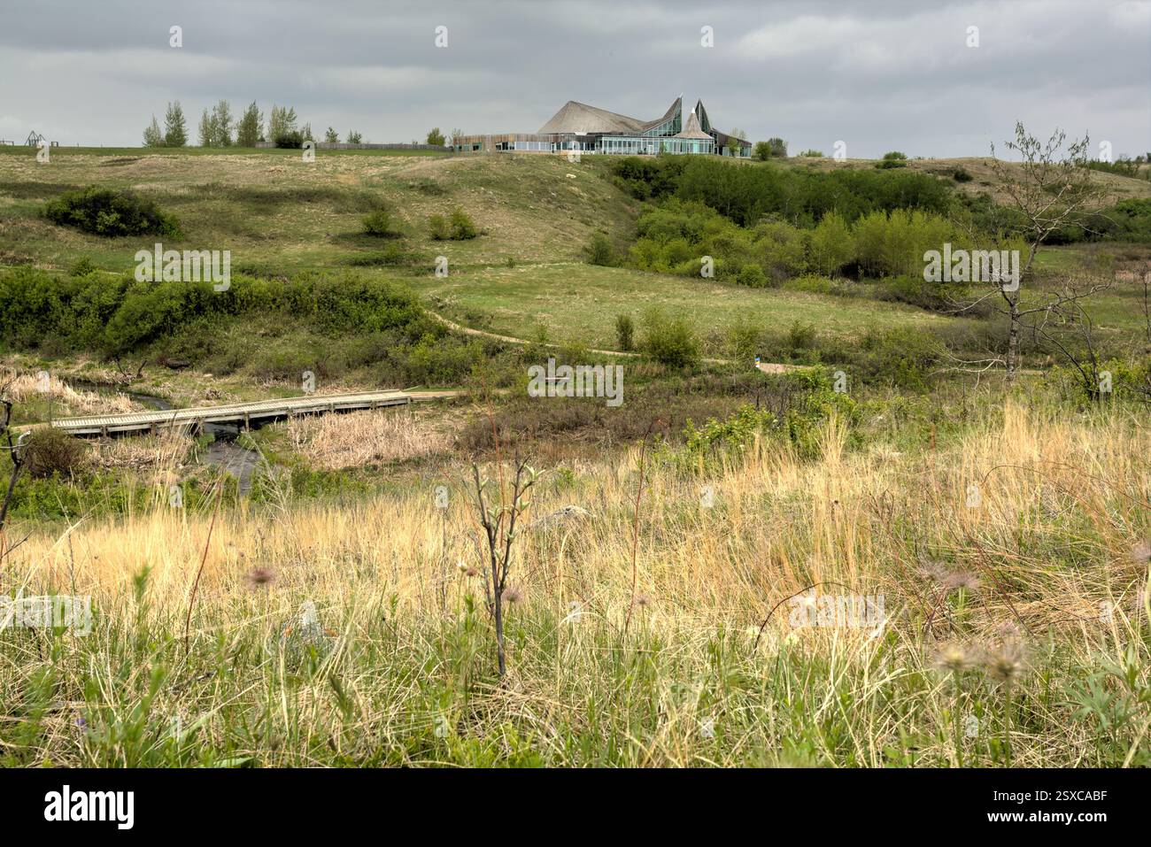 Field with a house in the background. The house is a large, white ...