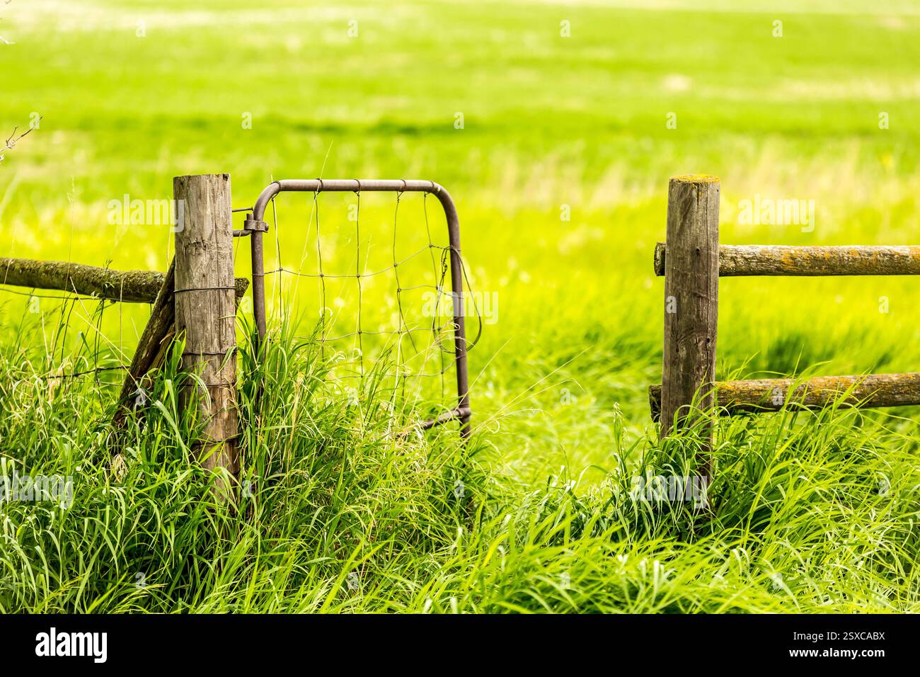 Gate is open in a field. The gate is made of wood and metal Stock Photo ...