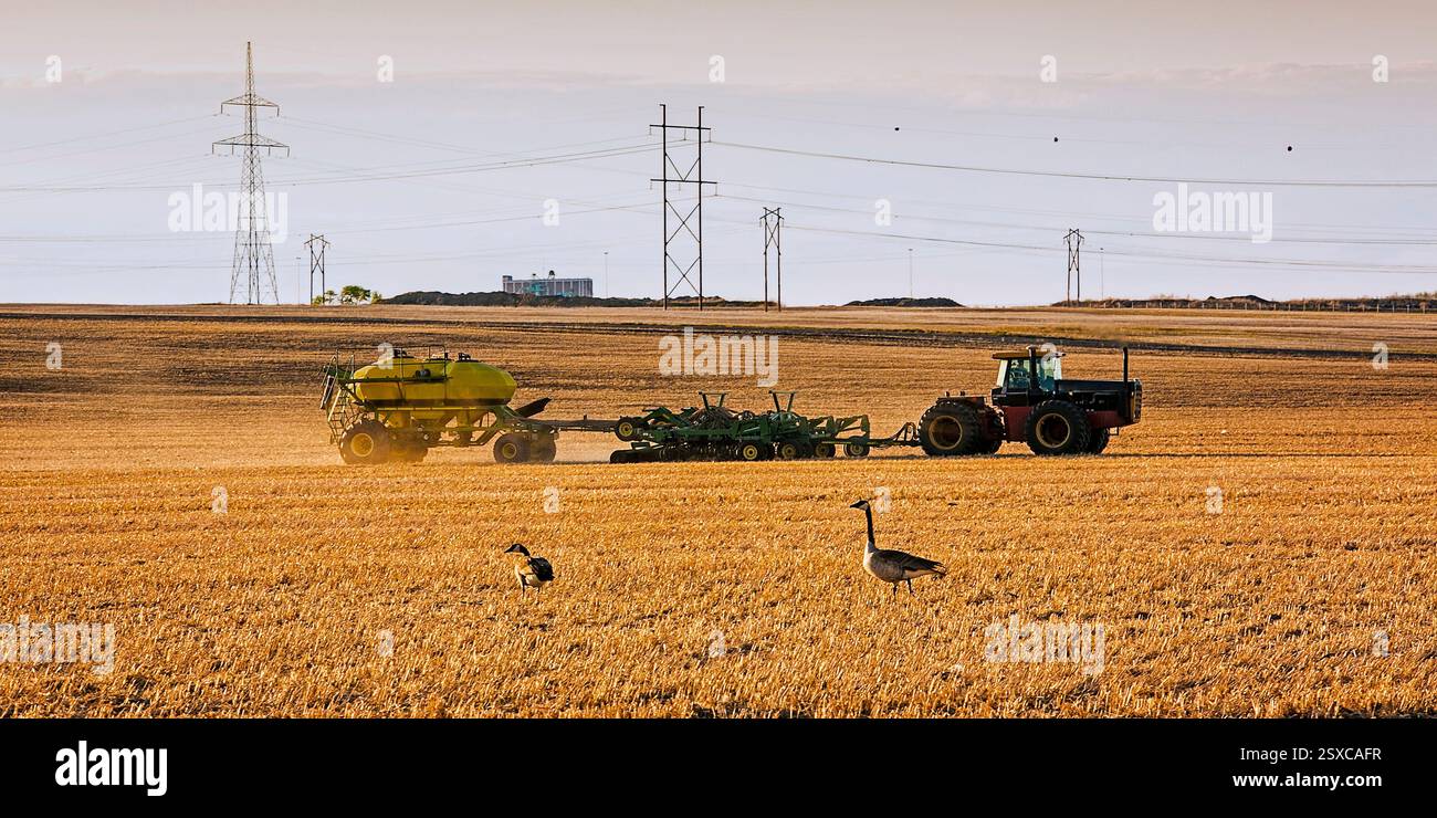 Combine driving through field in hi-res stock photography and images ...