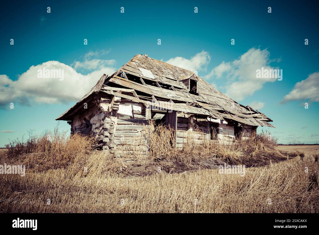 Dilapidated old house with a roof that is missing. The house is surrounded by a field of tall ...